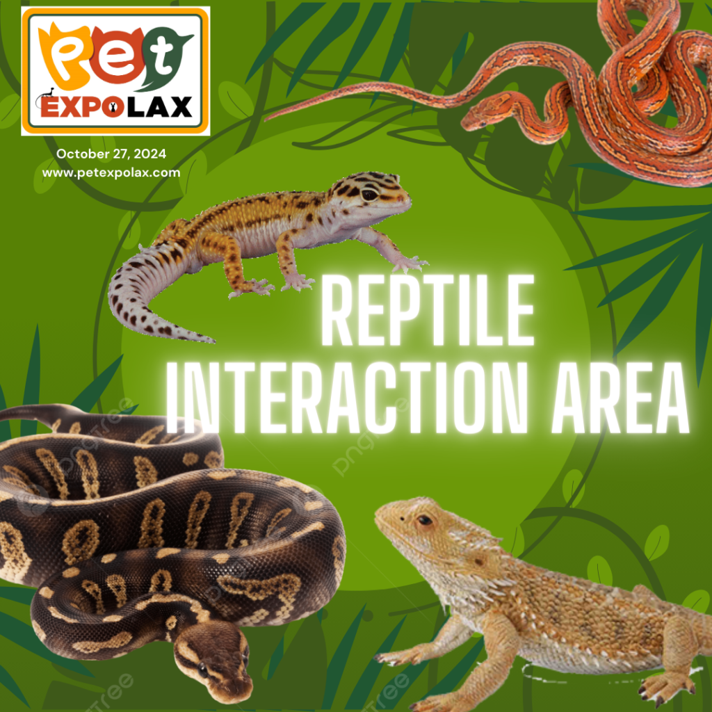 Reptile Interaction – Pet Expo LAX